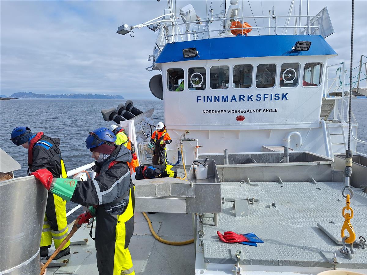 Skal du søke Maritim utdanning? - Nordkapp videregående skole